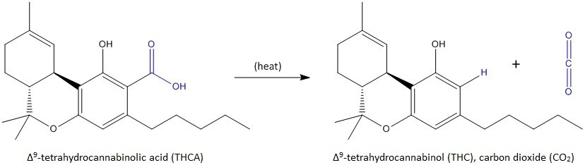 Introduction to THC